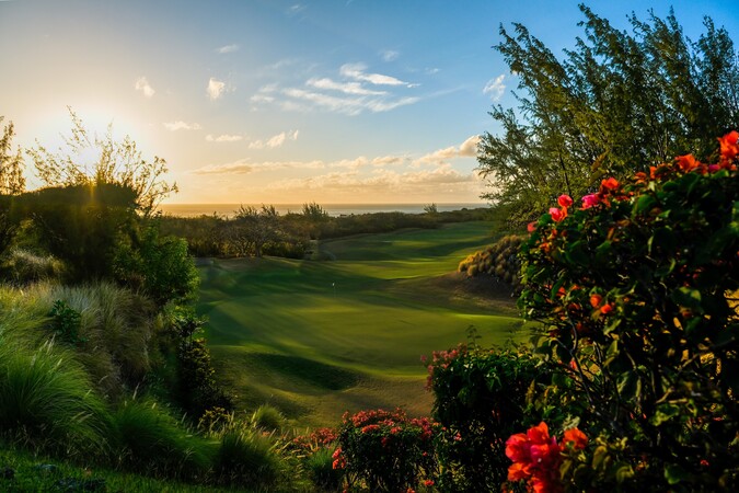 Tuesday Pot League :: Welcome