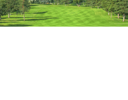 2024 Shadow Valley Mulligan Madness