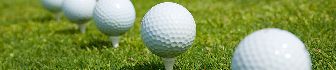 PMGA WNL Sponsored by Kwon Contacting.
