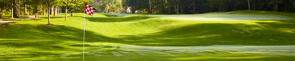 Net Series: Individual Stableford #1